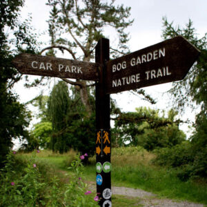 Lough Key Forest & Activity Park - Visit Carrick on Shannon
